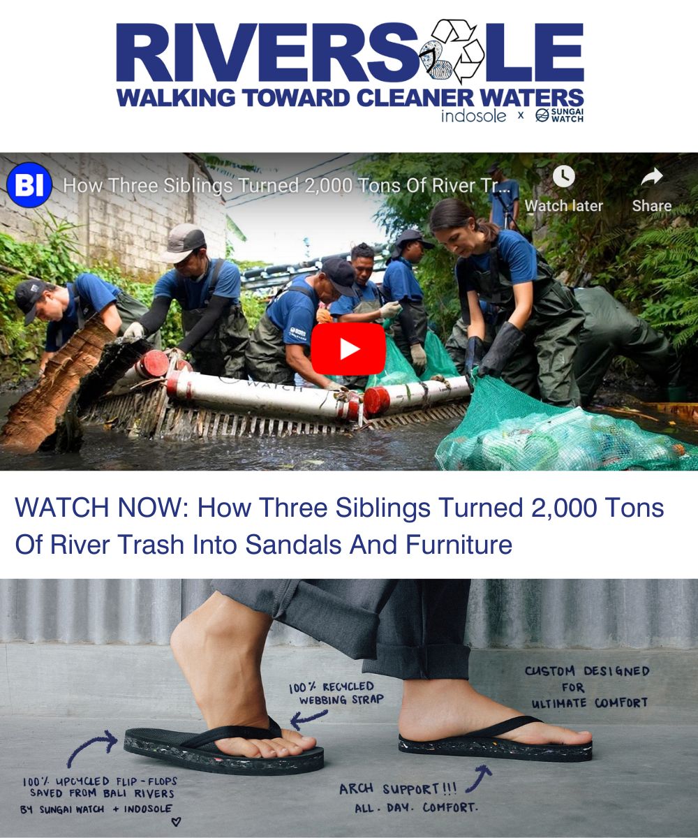 Masterclass in Ocean Cleanup Starting with River Cleanups... With a Ne ...